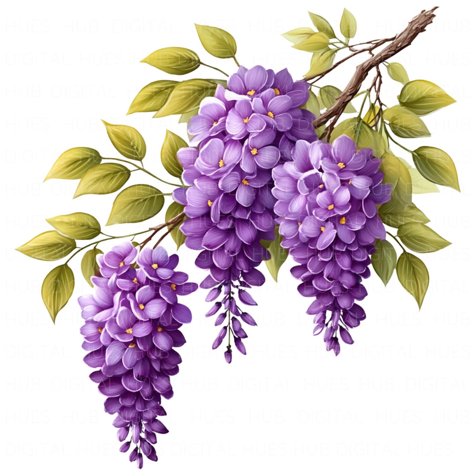 10 Wisteria Flower Strand Clipart Watercolor Purple Flower Art ...