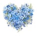 17 Forget Me Not Heart Clipart Bundle Printable Floral Heart Clipart ...