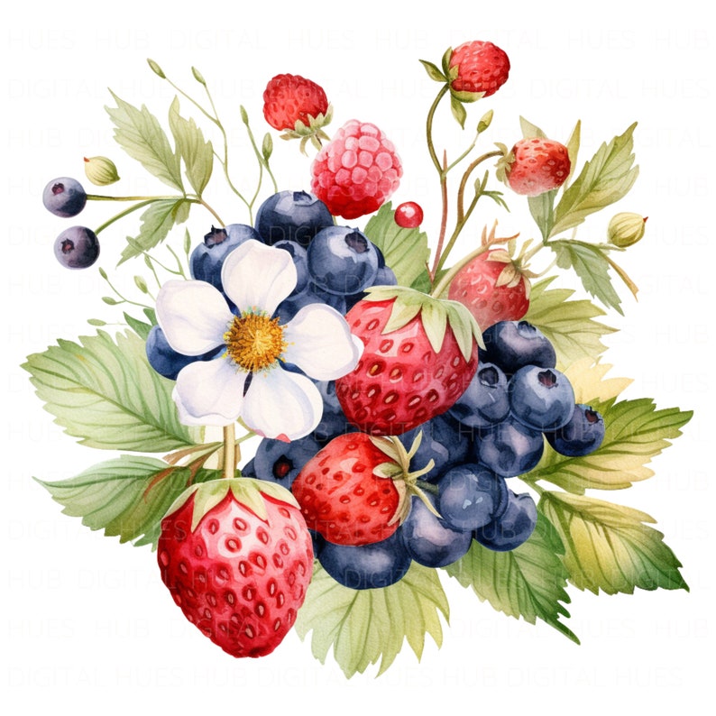 10 Summer Berries Clipart Bundle Watercolor Wild Berries Fruits Clipart ...
