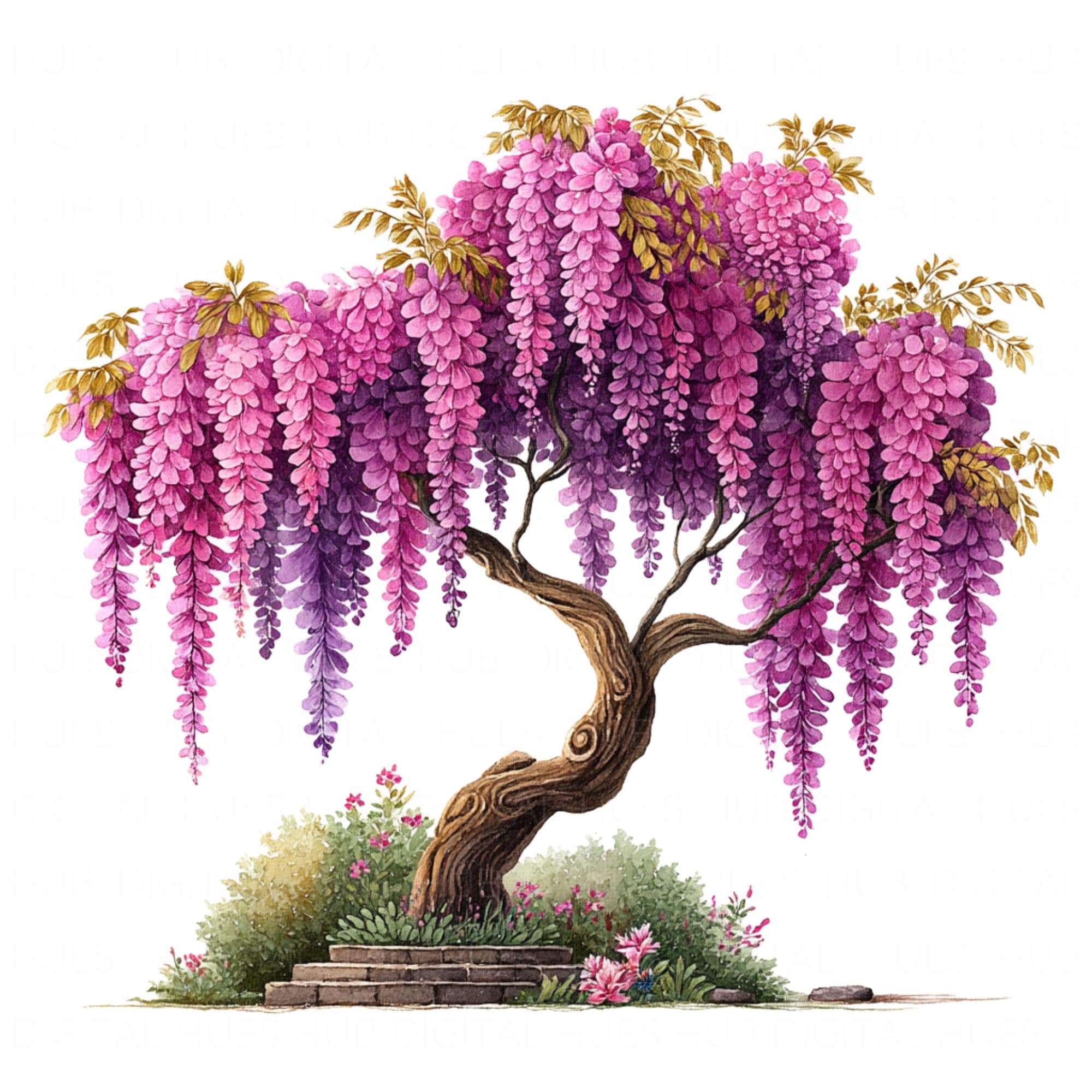 20 Wisteria Tree Clipart Watercolor Purple Wisteria Blooms Pink ...