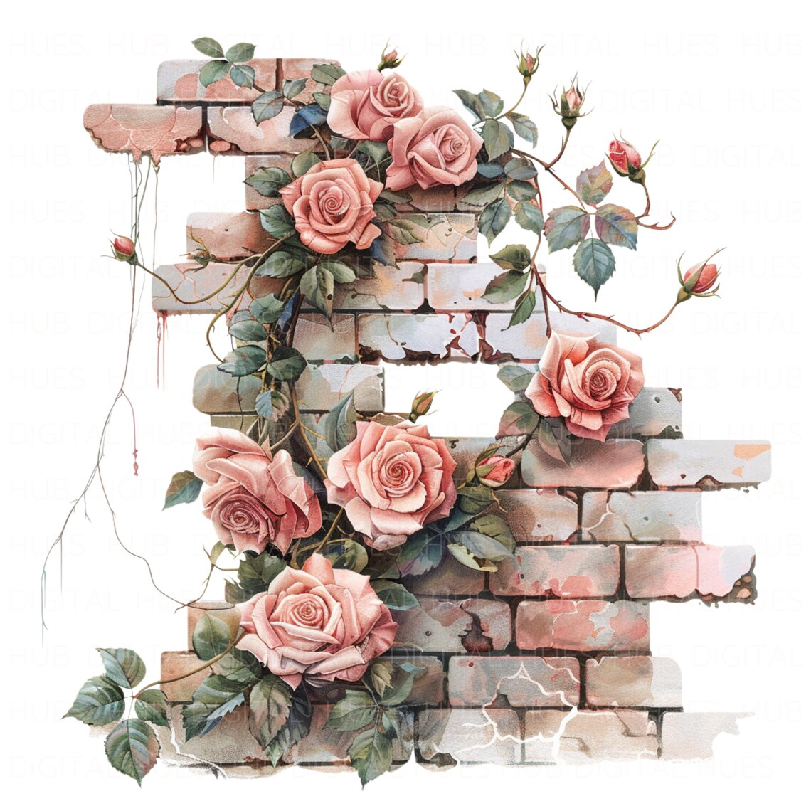 10 Pink Rose Brick Wall Clipart Watercolor Garden Clipart Floral Wall ...