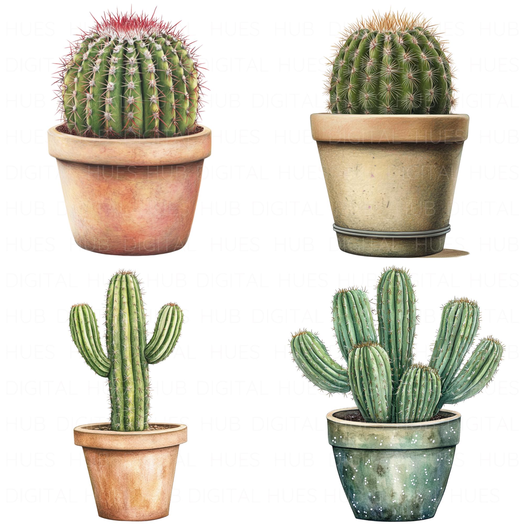 12 Cactus in Pot Clipart Watercolor Desert Cactus Plant Succulent ...