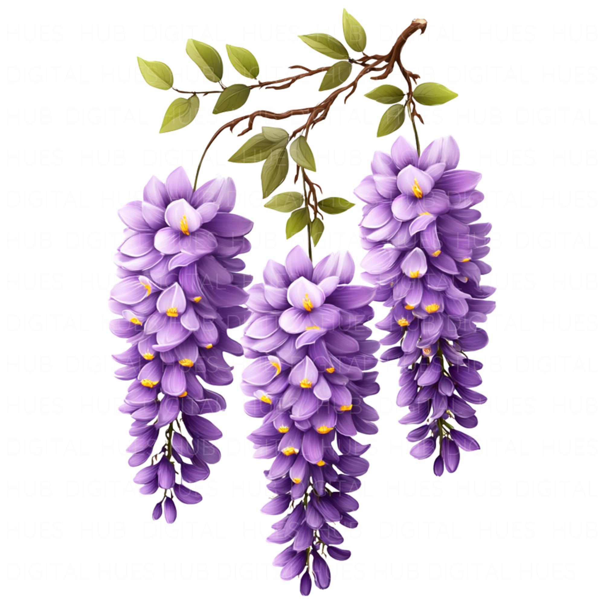 10 Wisteria Flower Strand Clipart Watercolor Purple Flower Art ...