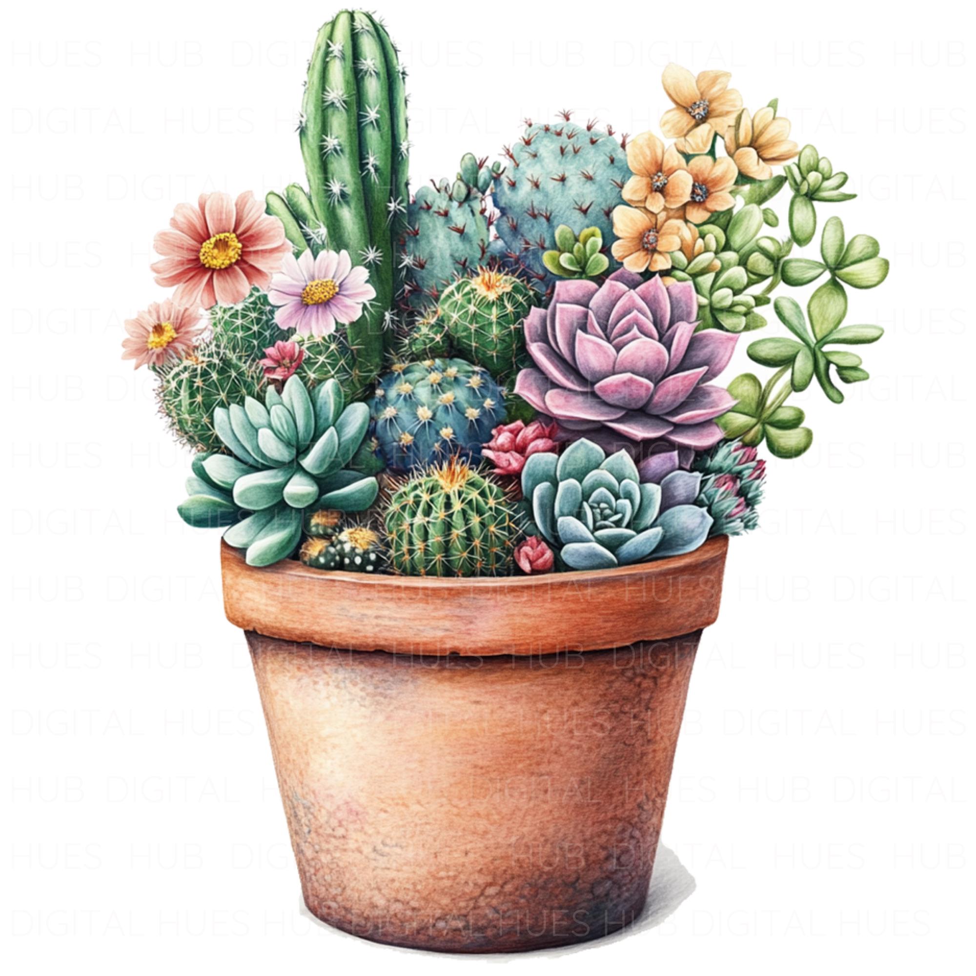 13 Succulent Pot Clipart Watercolor Potted Indoor Cactus Succulent ...