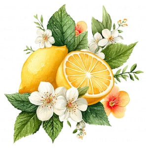 21 Summer Lemon Clipart Watercolor Citrus Fruit Floral Lemon ...