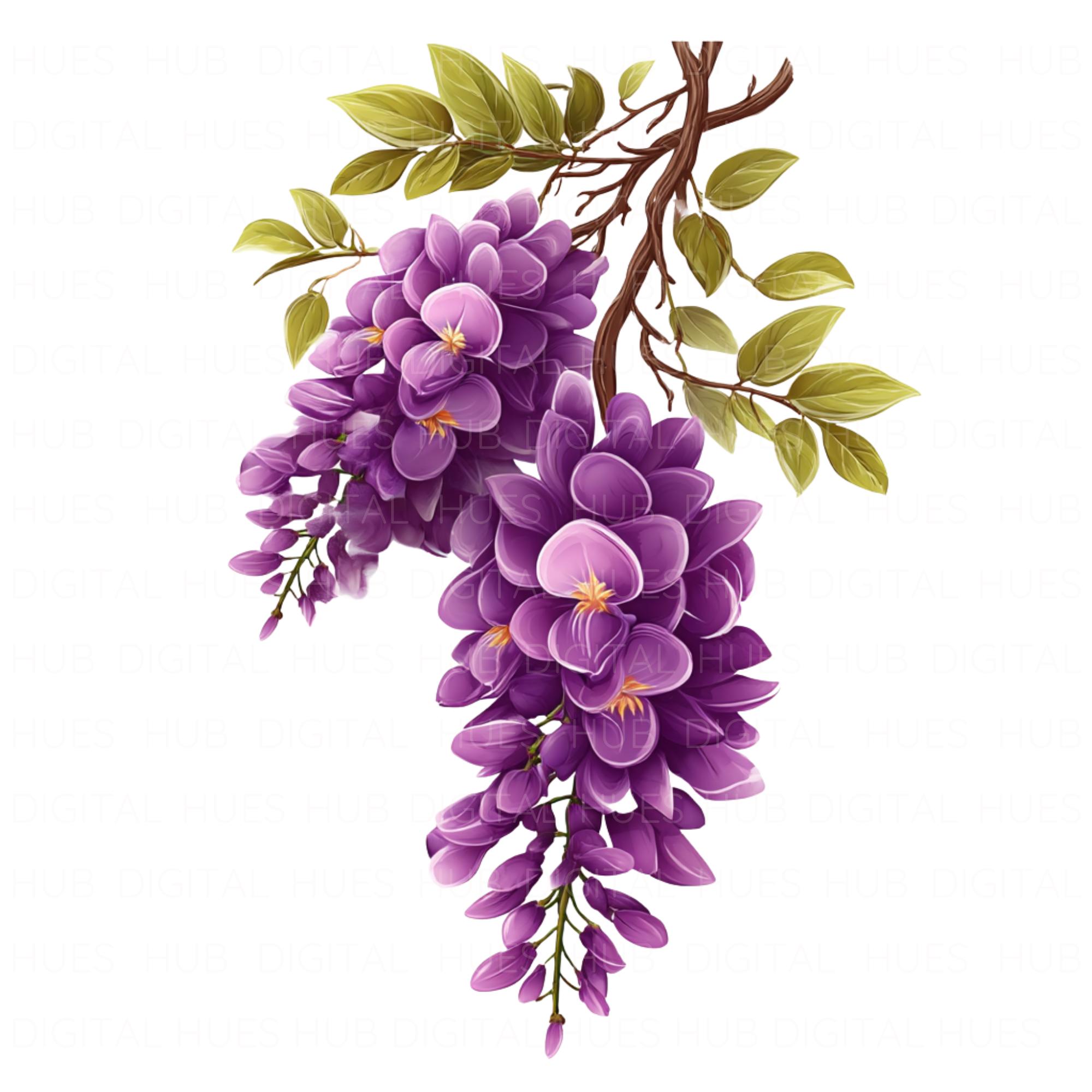 10 Wisteria Flower Strand Clipart Watercolor Purple Flower Art ...