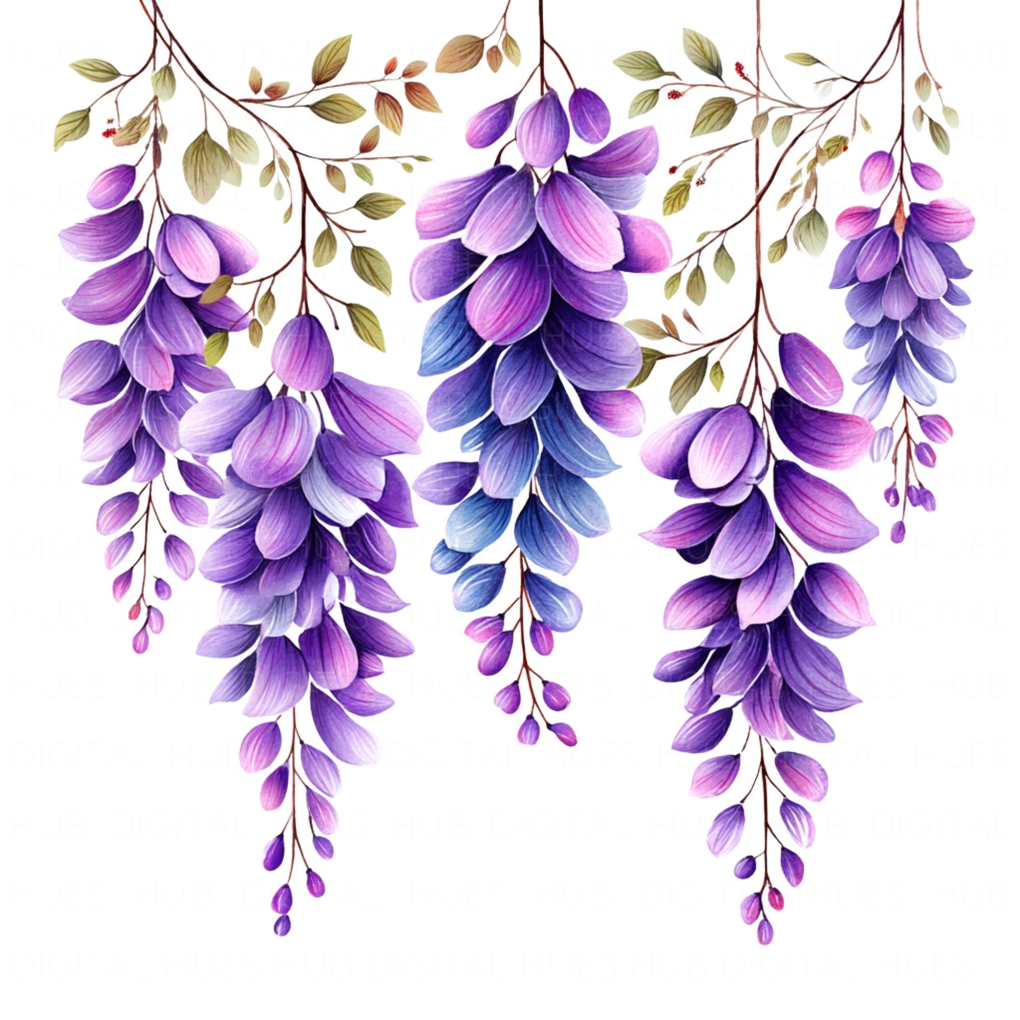10 Wisteria Strand in Row Clipart Watercolor Purple Flower Art ...
