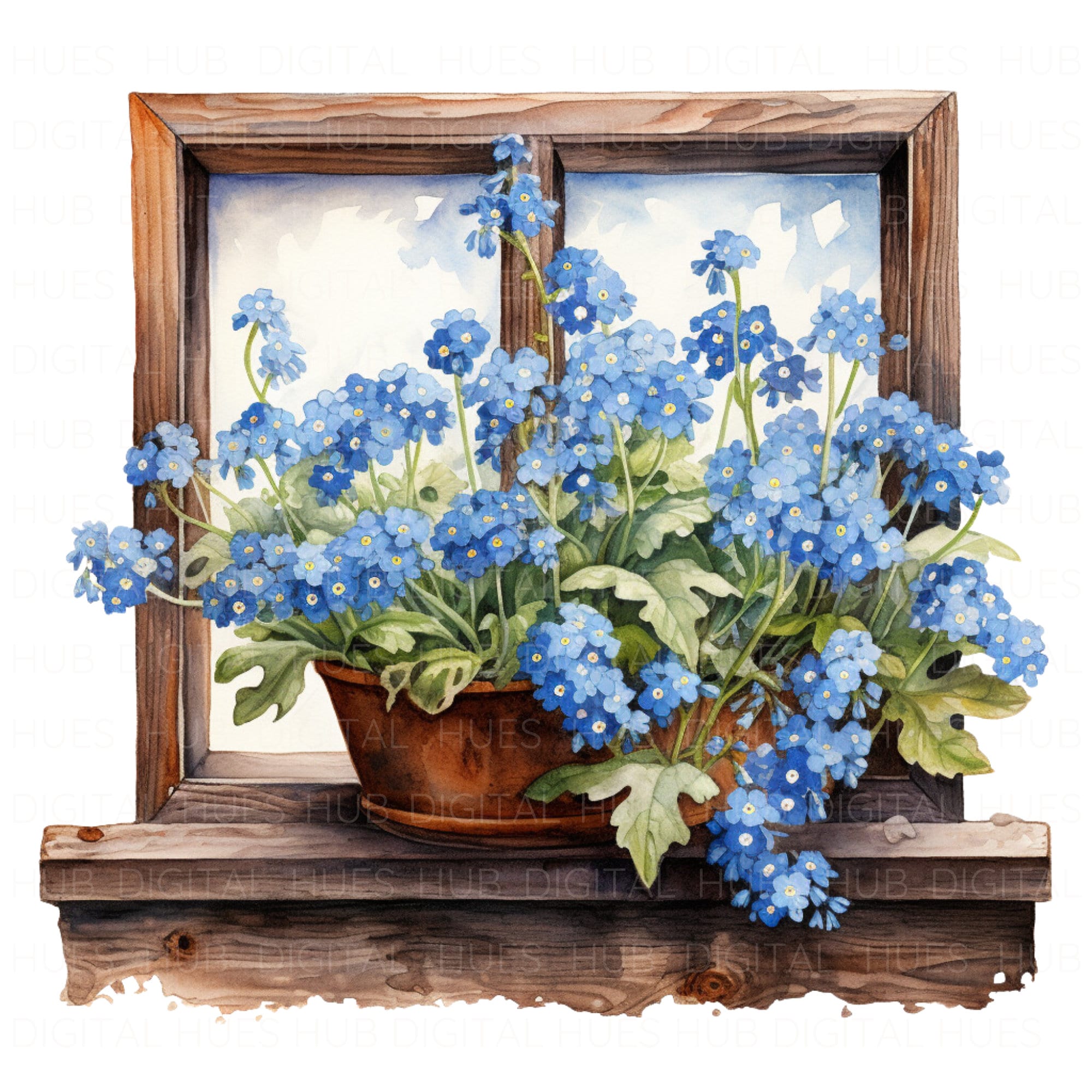 11 Forget Me Not Flower Box on Window Clipart Bundle Watercolor Window ...
