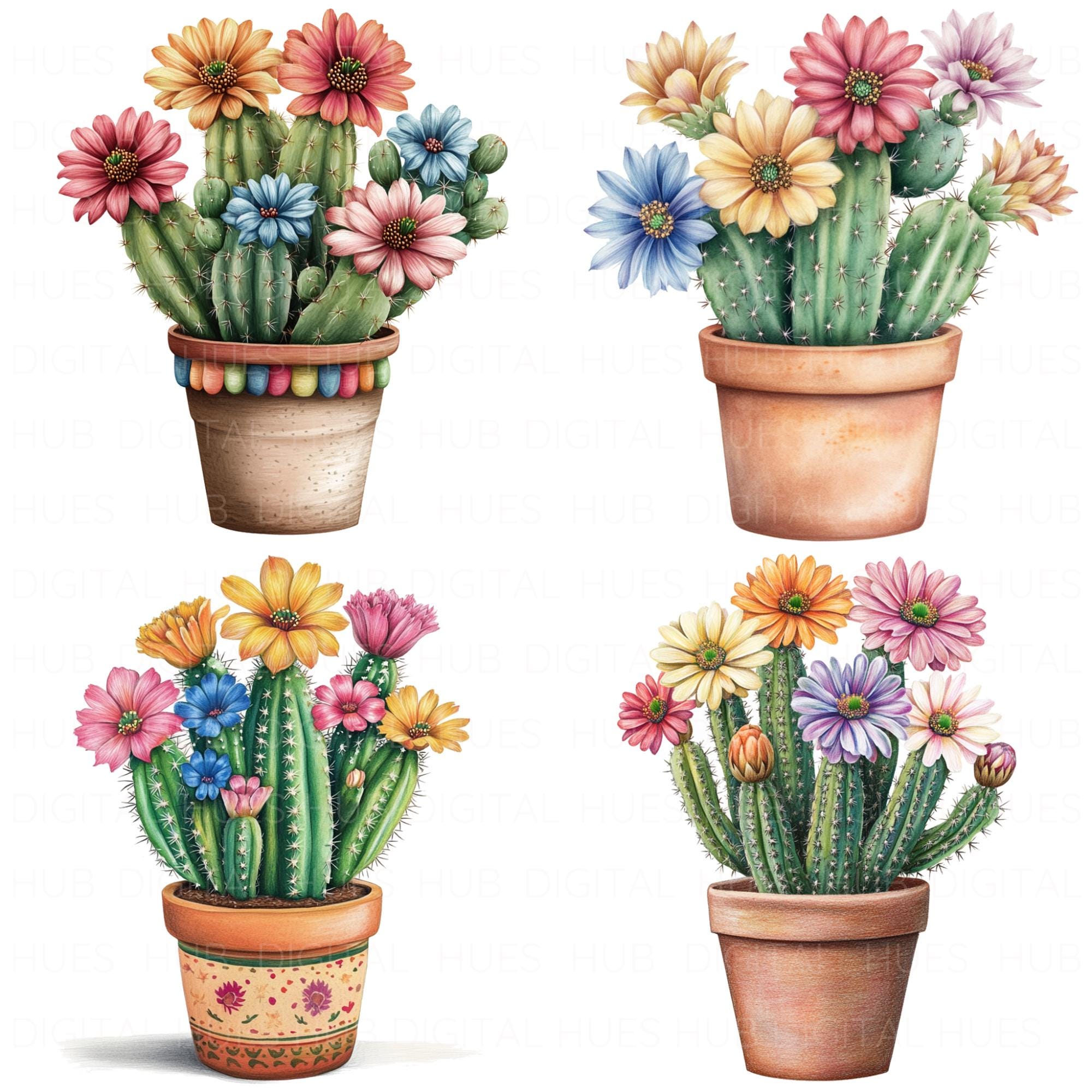 18 Cactus in Pot Clipart Watercolor Blooming Cactus Plant Succulent ...