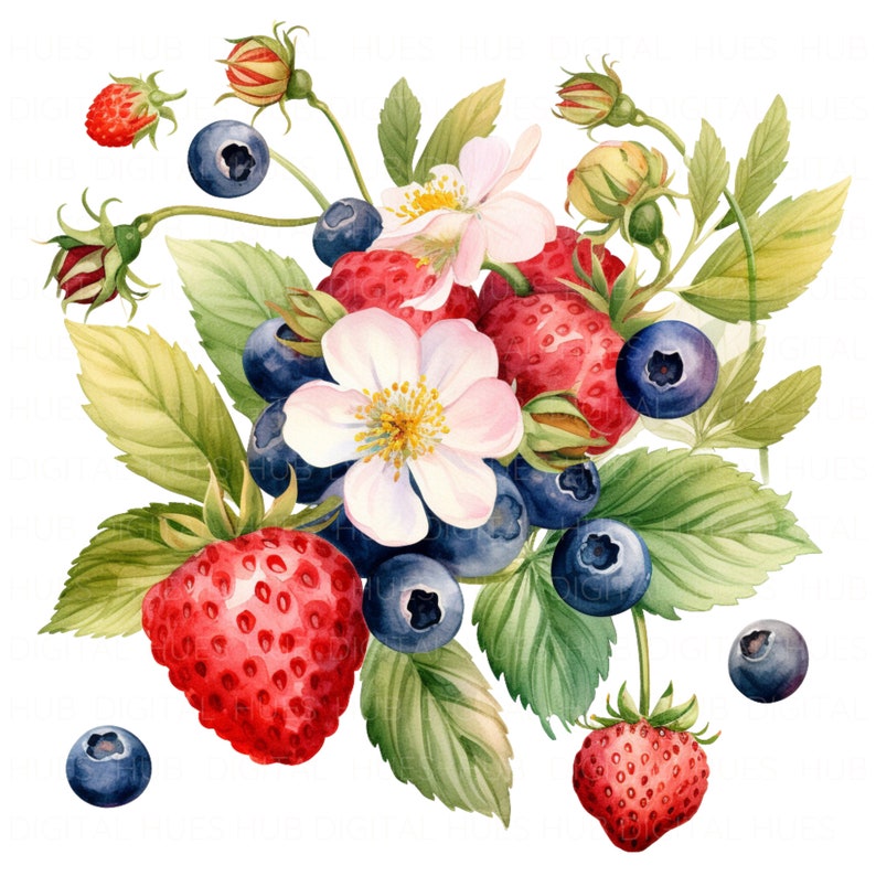 10 Summer Berries Clipart Bundle Watercolor Wild Berries Fruits Clipart ...