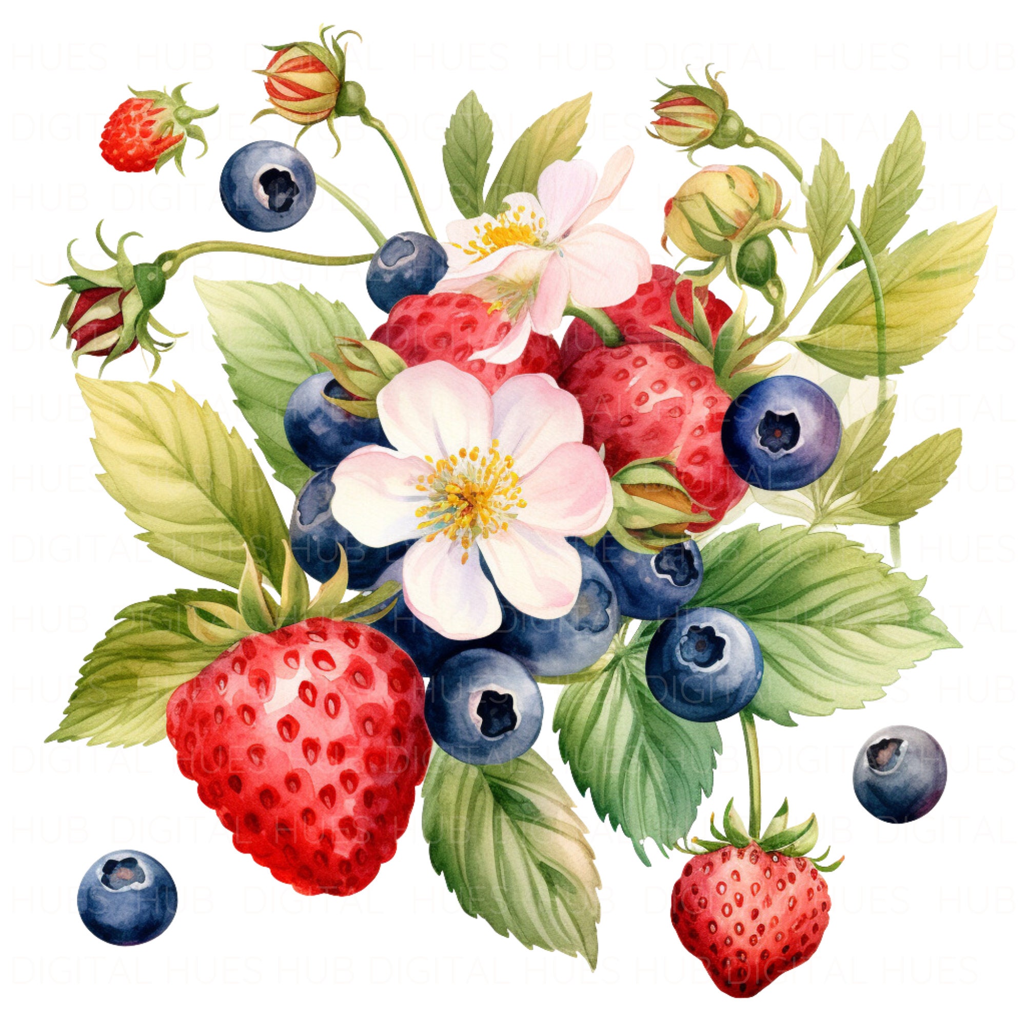 10 Summer Berries Clipart Bundle Watercolor Wild Berries Fruits Clipart ...