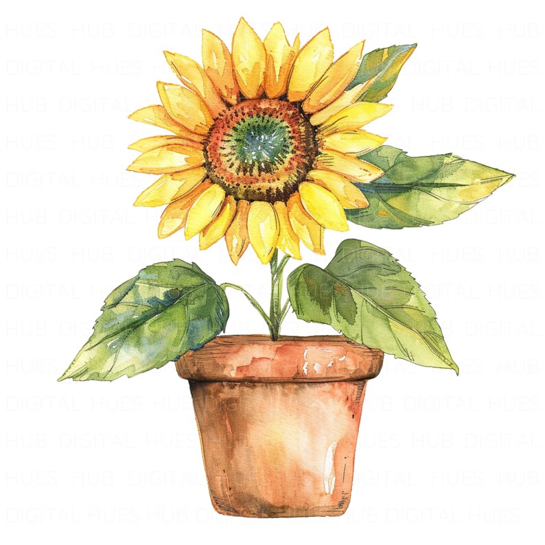 10 Sunflower Pot Clipart Bundle Watercolor Summer Flower Pot Printable ...