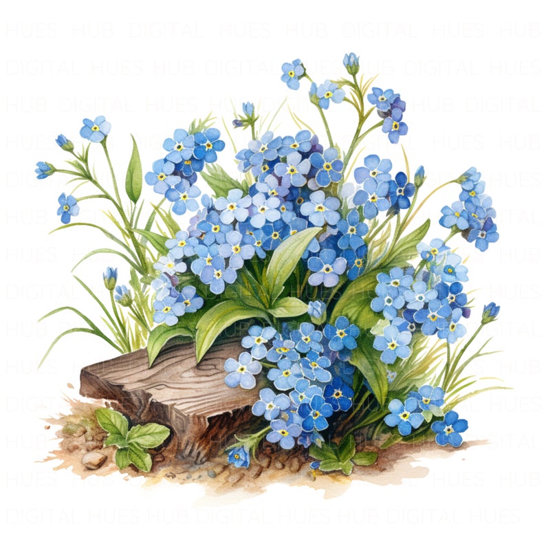 15 Forget Me Not on Log Clipart Bundle Watercolor Forget Me Not ...