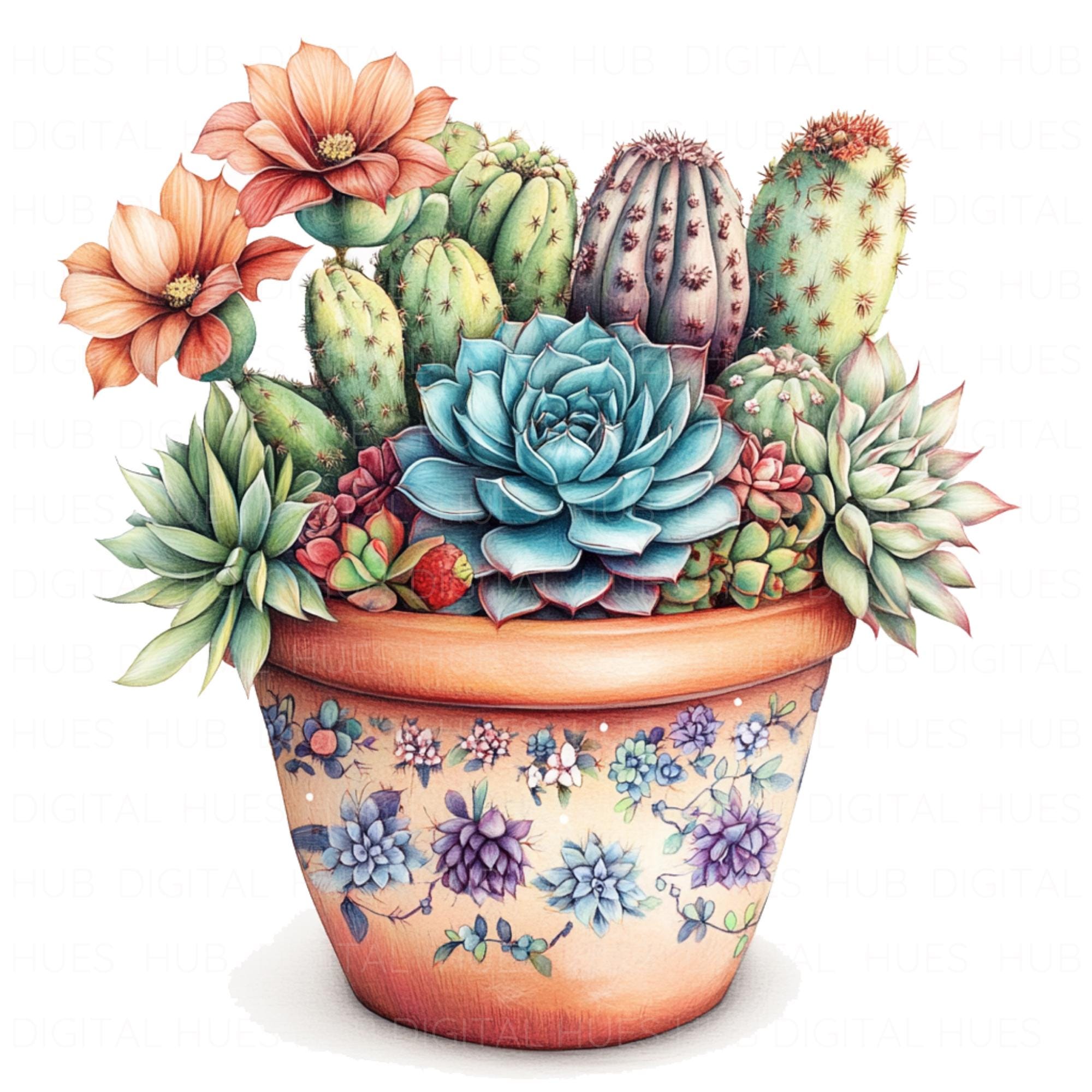 13 Succulent Pot Clipart Watercolor Potted Indoor Cactus Succulent ...