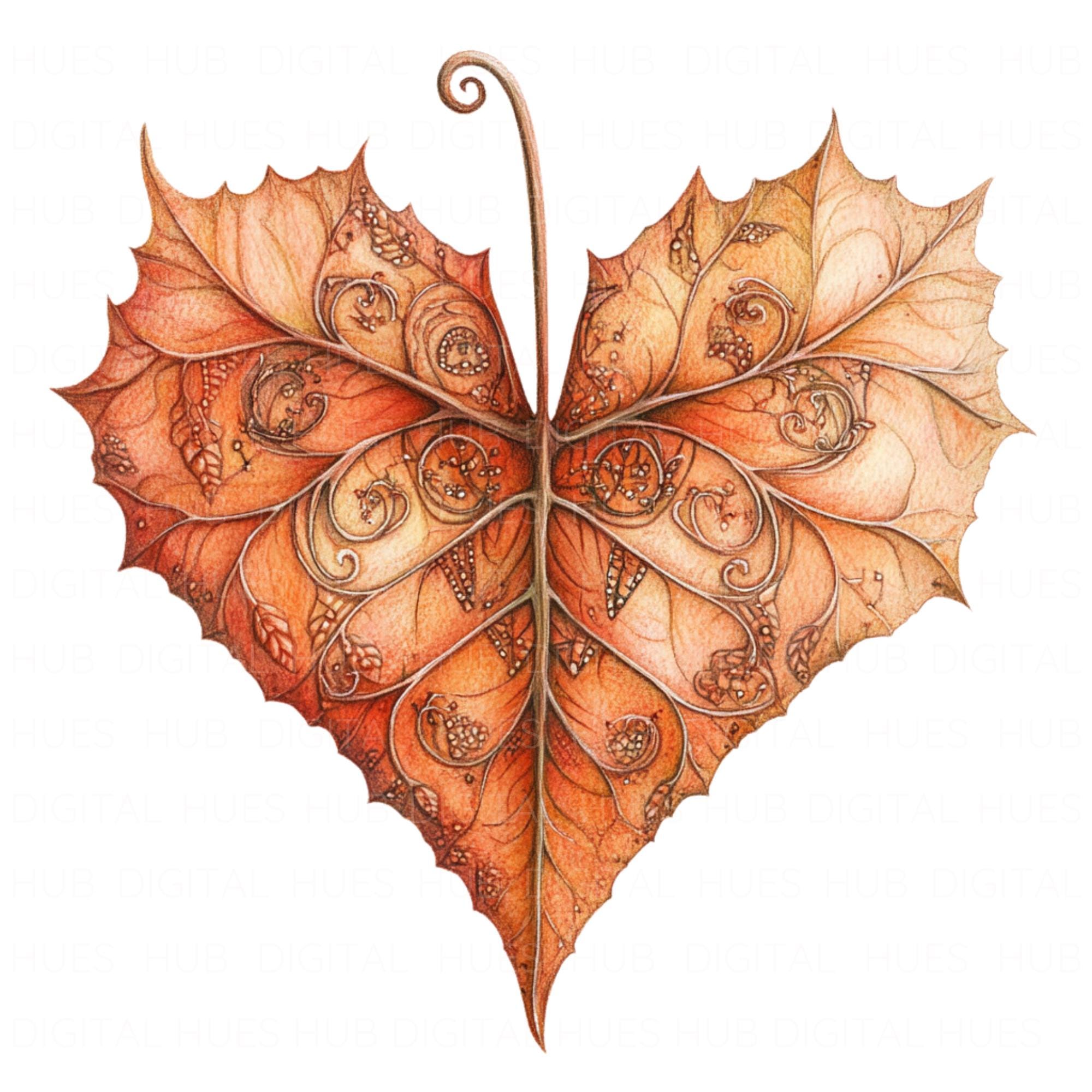12 Heart Autumn Leaf Clipart Fall Leaves Heart Shape Printable High ...