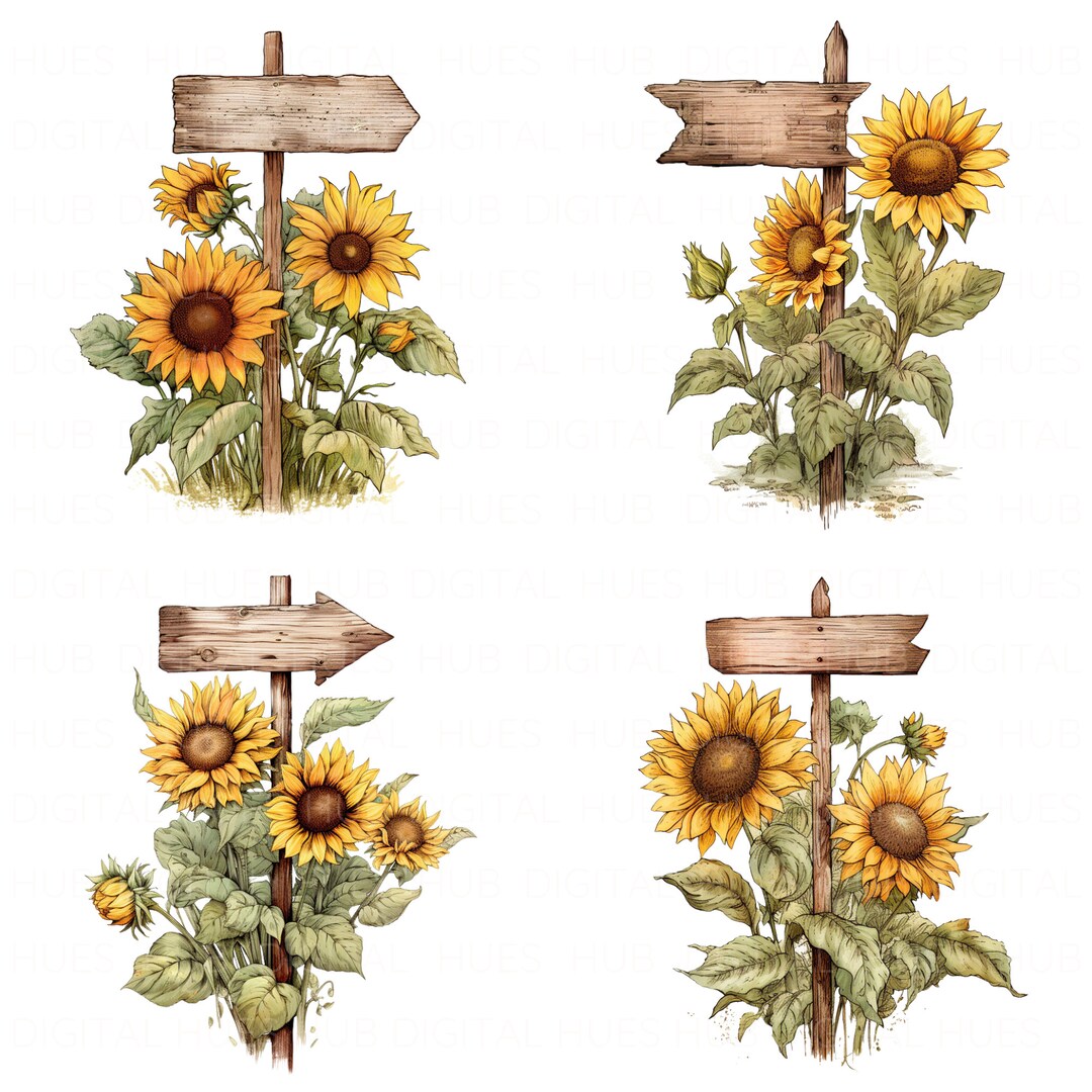 12 Floral Road Sign Clipart Bundle Watercolor Sunflower Rustic Wood ...