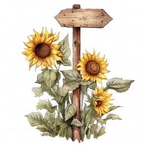 12 Floral Road Sign Clipart Bundle Watercolor Sunflower Rustic Wood ...