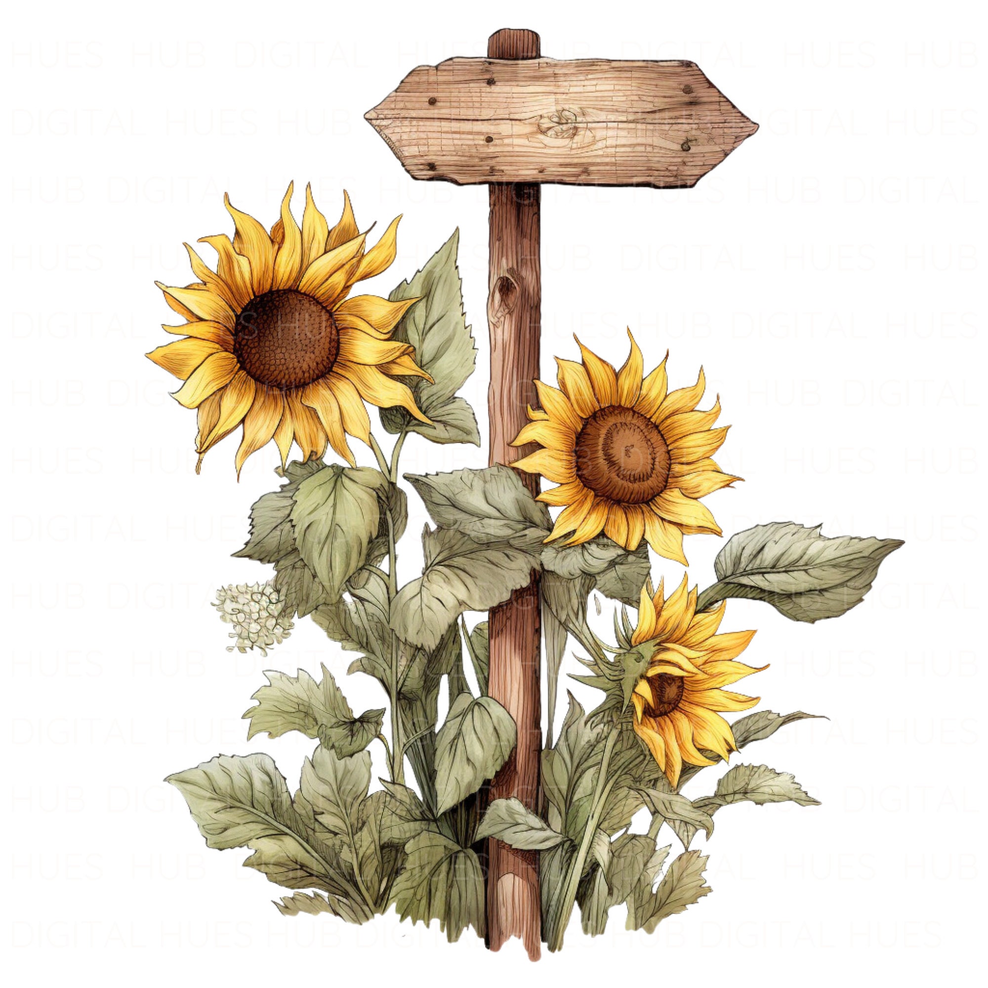 12 Floral Road Sign Clipart Bundle Watercolor Sunflower Rustic Wood ...