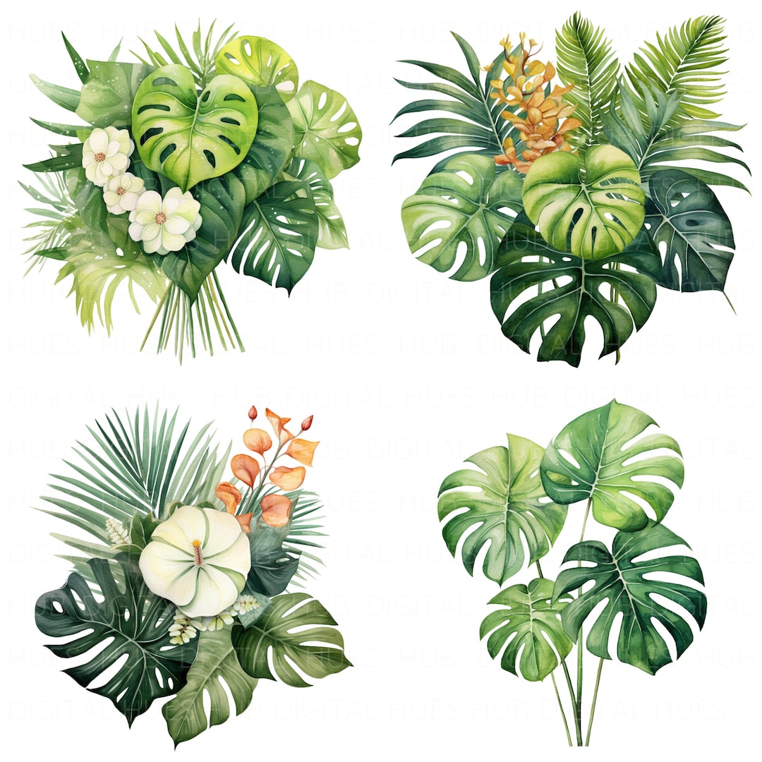 15 Watercolor Monstera Leaf Clipart Botanical Clipart High Quality JPEG ...