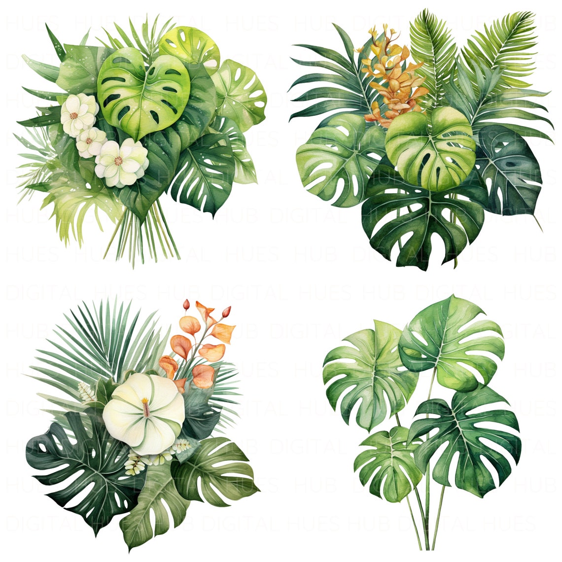 15 Watercolor Monstera Leaf Clipart Botanical Clipart High Quality JPEG ...