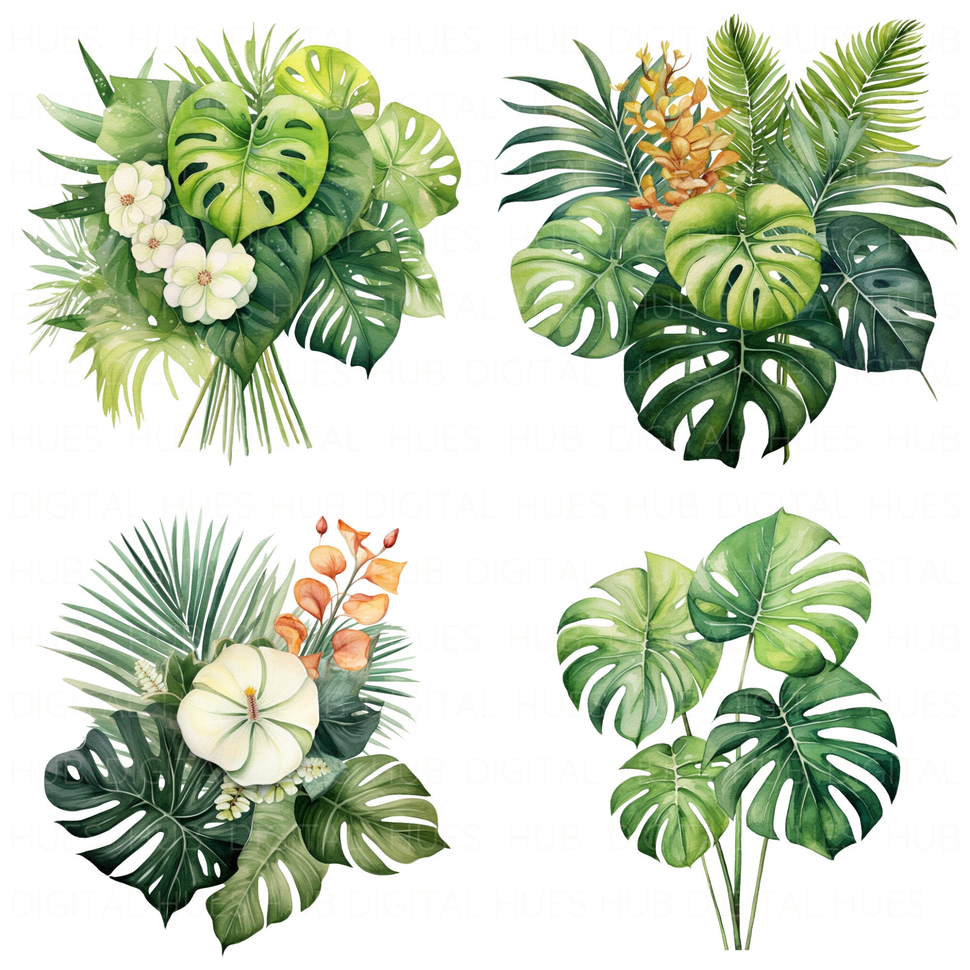 15 Watercolor Monstera Leaf Clipart Botanical Clipart High Quality JPEG ...