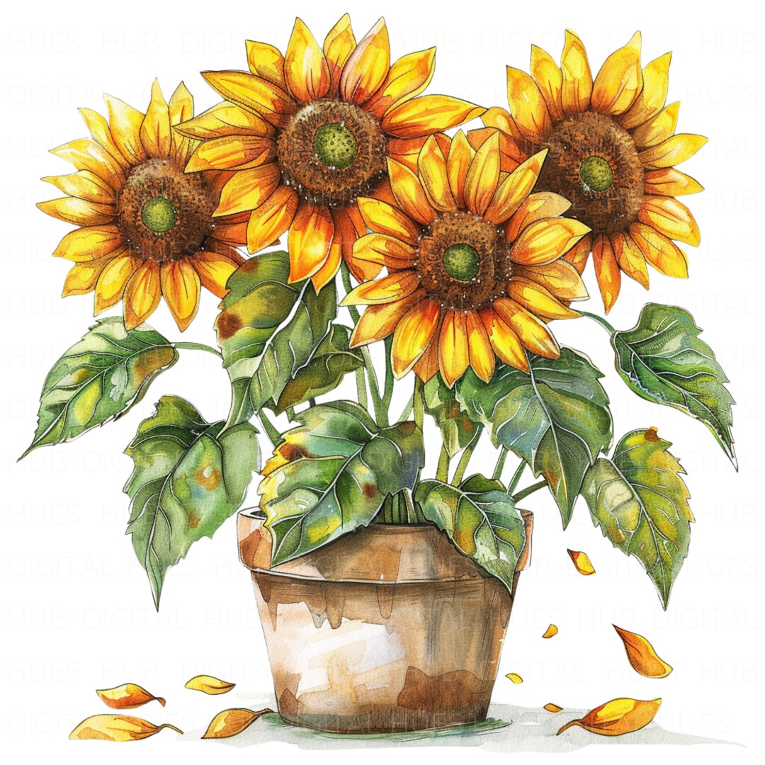 10 Sunflower Pot Clipart Bundle Watercolor Summer Flower Pot Printable ...
