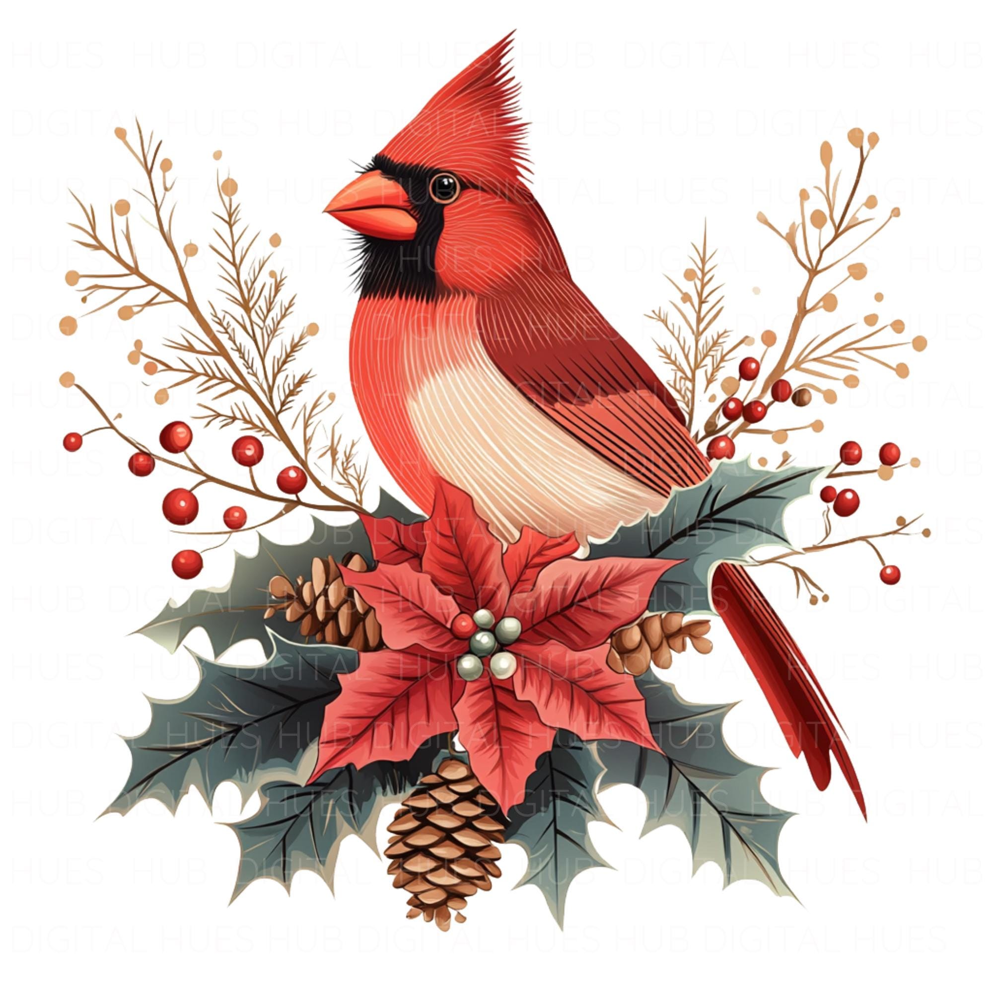 11 Red Cardinal Christmas Card Clipart Watercolor Holiday Printable ...
