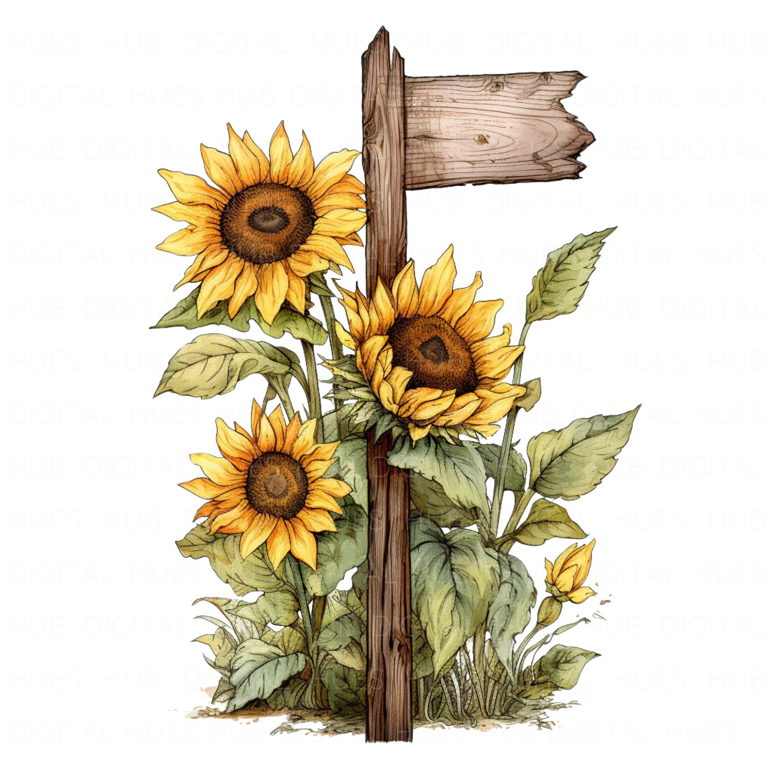 12 Floral Road Sign Clipart Bundle Watercolor Sunflower Rustic Wood ...