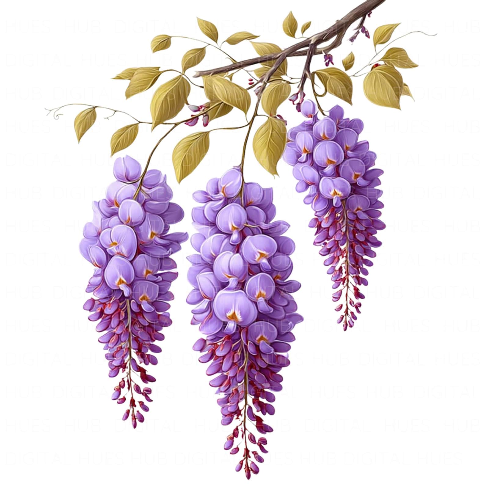 10 Wisteria Flower Strand Clipart Watercolor Purple Flower Art ...