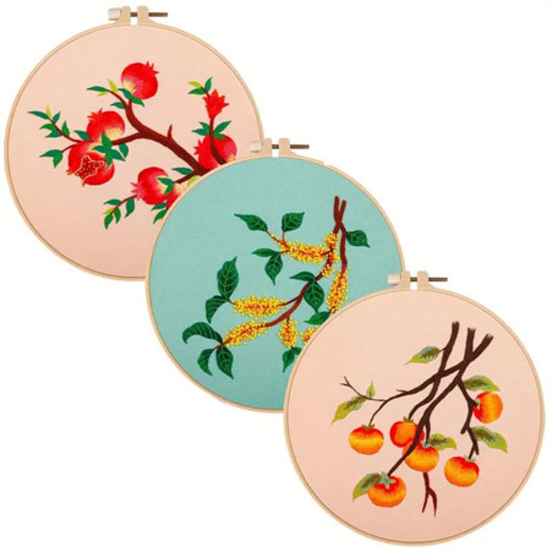 3D Fruits Chinese Style Embroidery Kit for Beginners Hand Vintage Cross ...