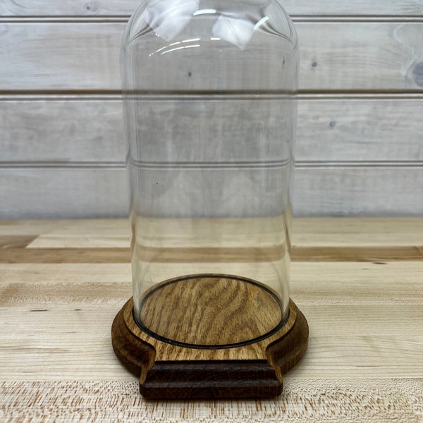 Glass Dome Display - Etsy