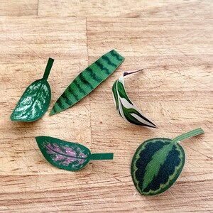Dollhouse Printables 1:6 Miniature Paper Plants and Pots (digital ...