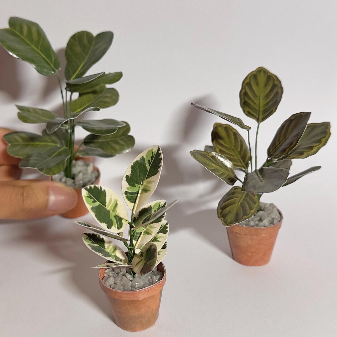 Miniature Plants Template 1:6 Printable Dollhouse Fiddle Leaf Tree ...