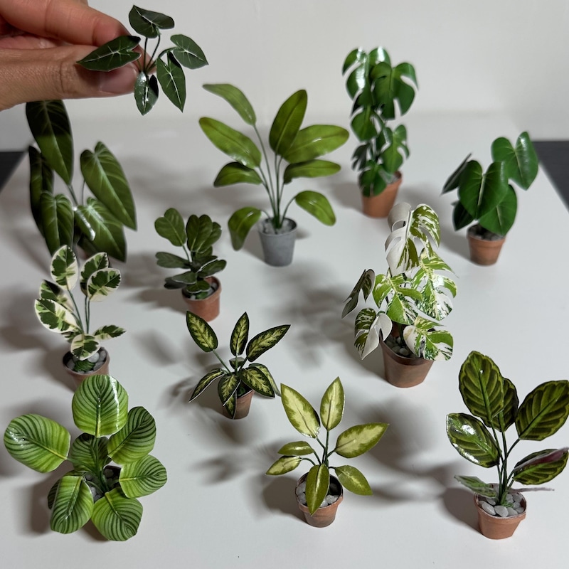 Miniature Plants - Etsy UK