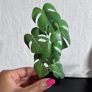 Dollhouse Printables 1:6 Miniature Paper Plants (digital Download) - Etsy