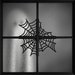 Modular Spiderweb Kit (files for 3d Print) - Etsy