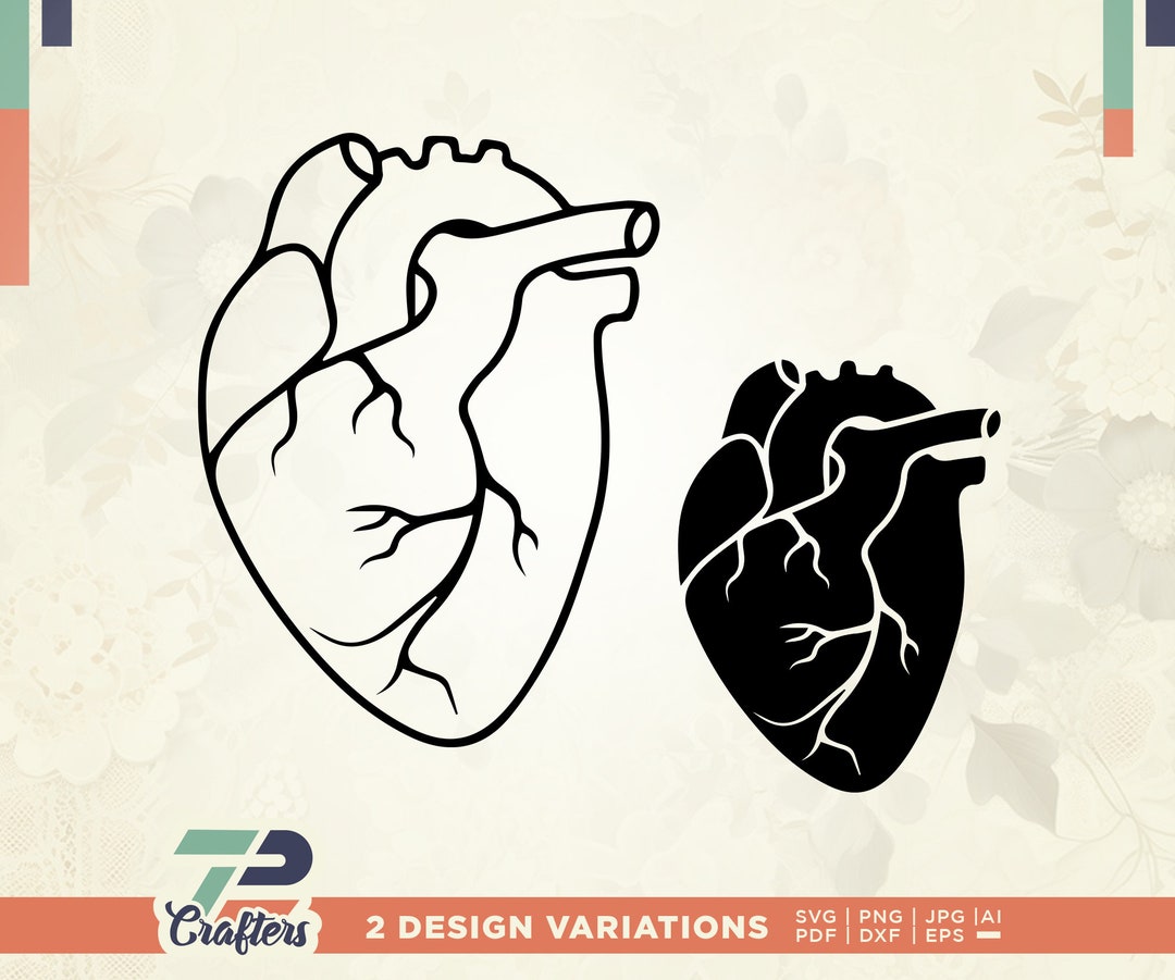 Anatomical Heart Svg, Heart Svg, Human Heart Clip Art Decal, Nurse Life ...