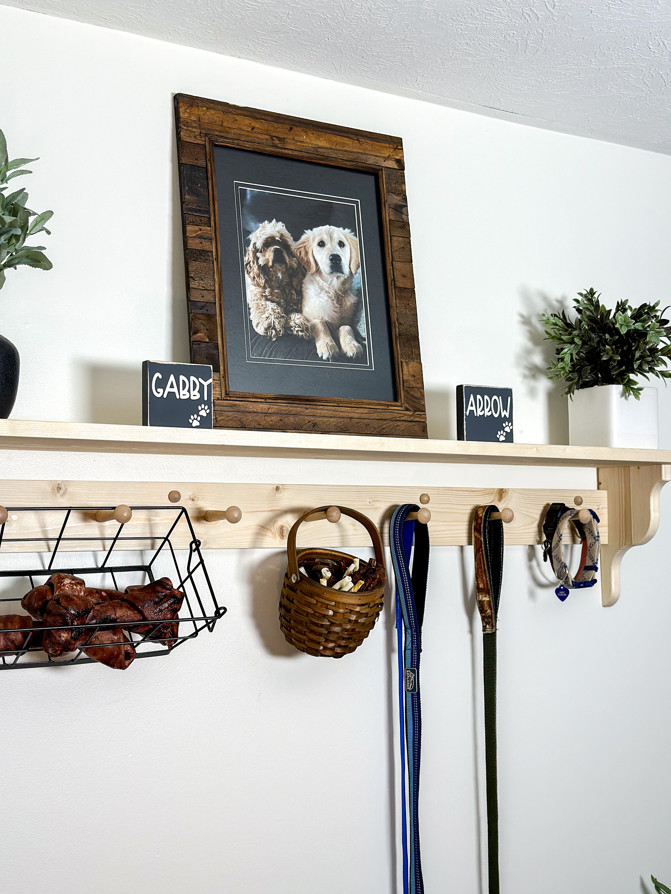 Peg Shelf for Wall Pet Accessory Organization Shelf With Hooks for Dog ...