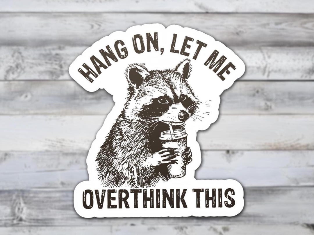 Hang On, Let Me Overthink This Vinyl Sticker - Funny Raccoon Meme Decal ...