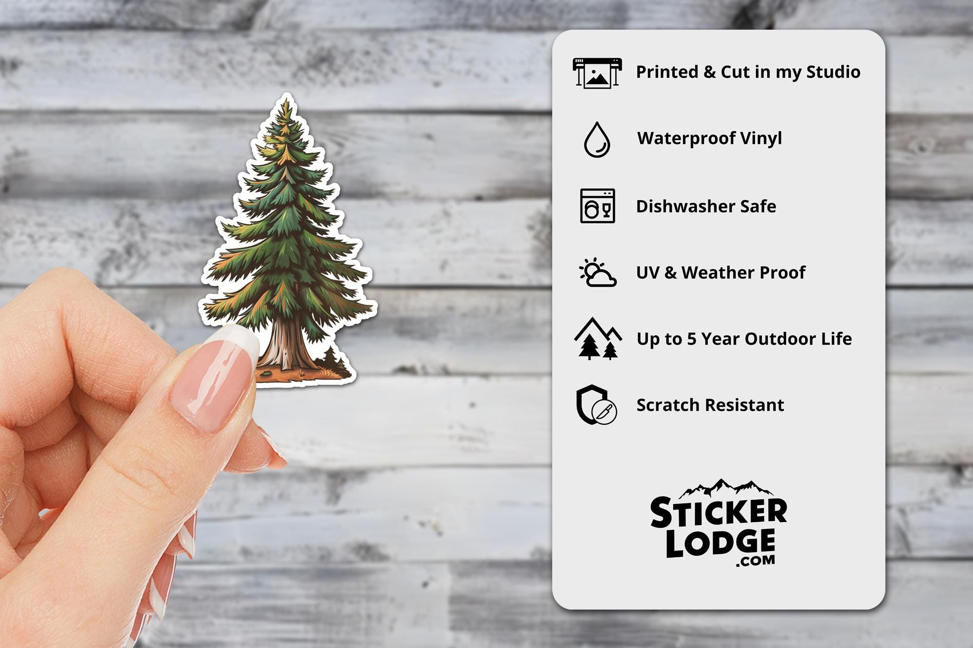 Majestic Redwood Tree Vinyl Sticker - Sequoia Wilderness Decal - Etsy
