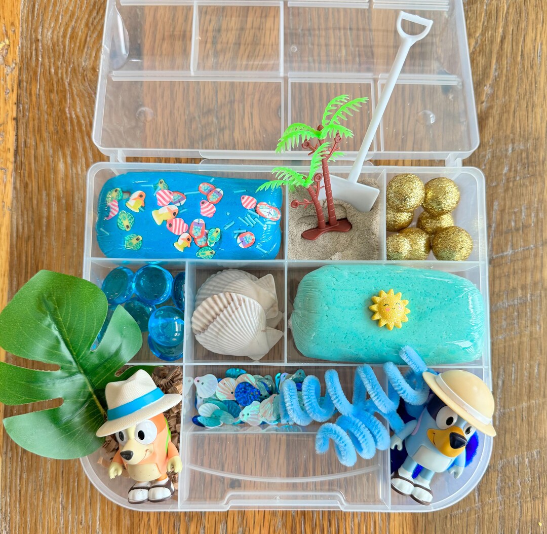 Bluey Playdough Kit - Etsy