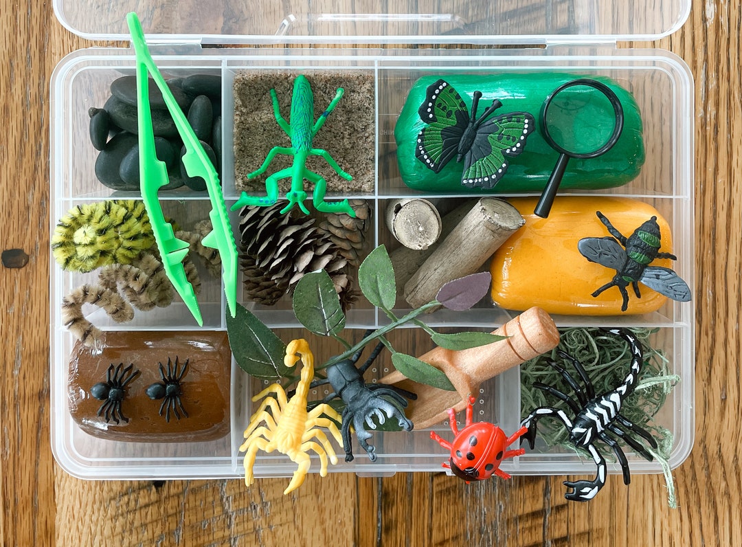 Bugs Playdough Kit - Etsy