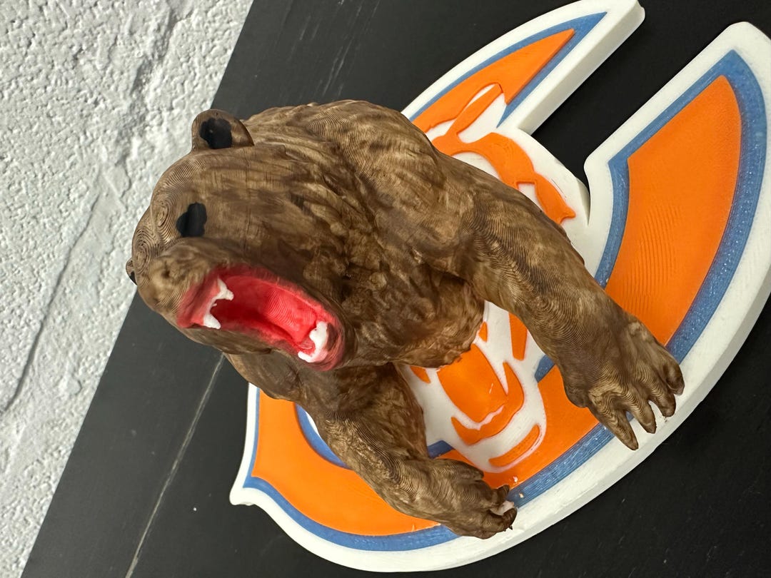 Chicago Bears Hype Chain - Hand Painted - Etsy