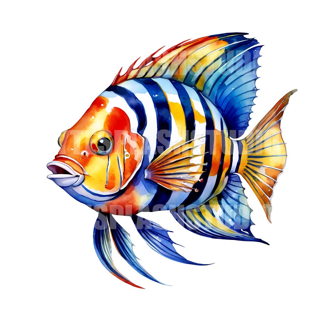 Colorful Fish Clip Art Bundle 10 High-quality PNG Watercolor Style ...