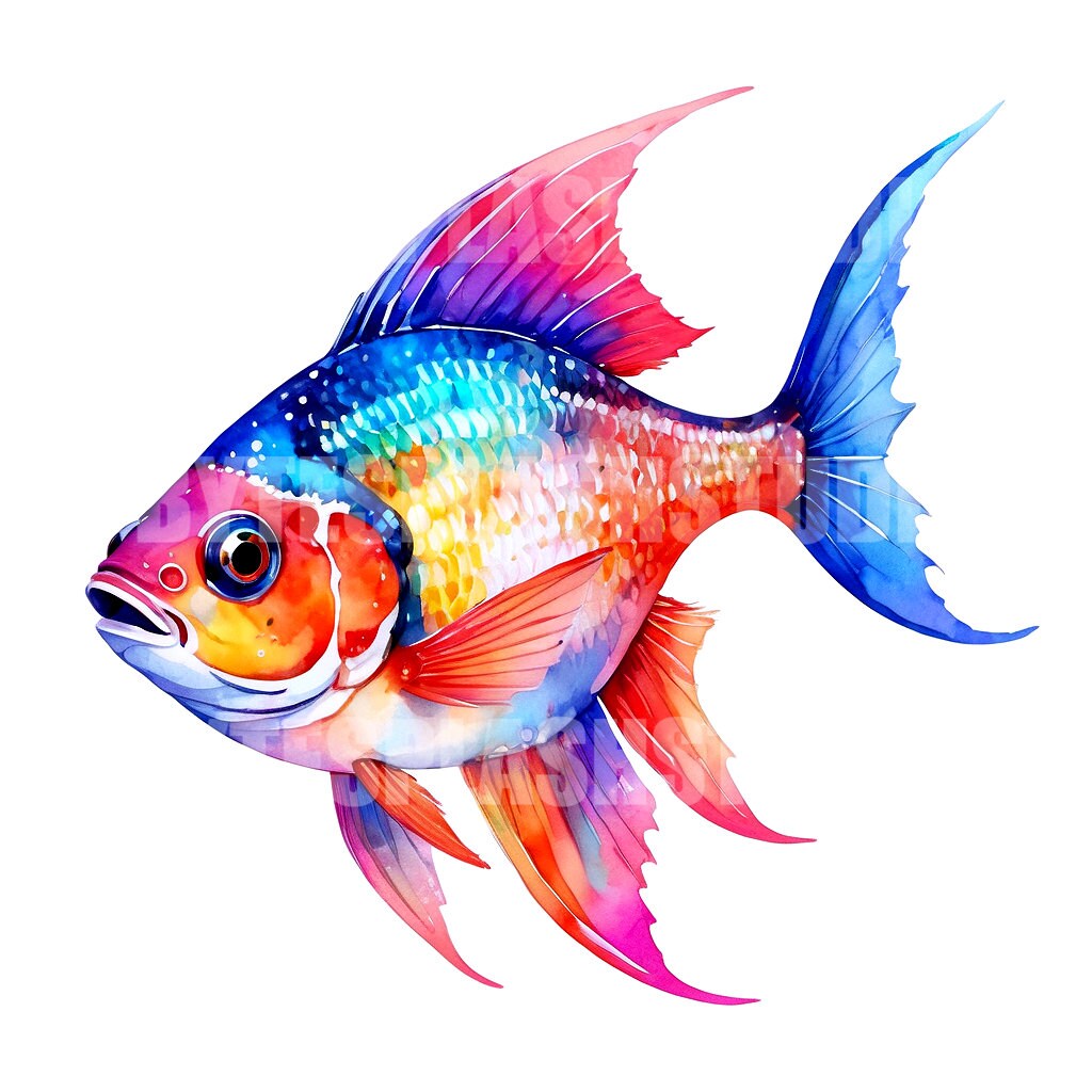 Colorful Fish Clip Art Bundle 10 High-quality PNG Watercolor Style ...