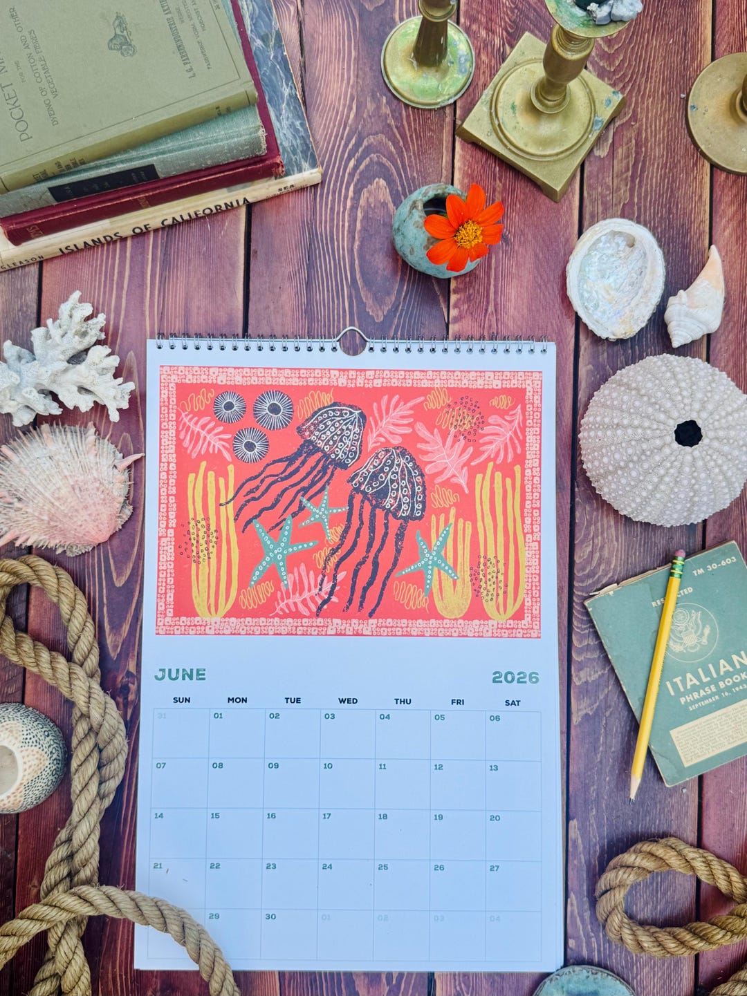 2026 Celestial Sea Calendar | 11 X 16.5" | Ocean Animals & Mystic ...