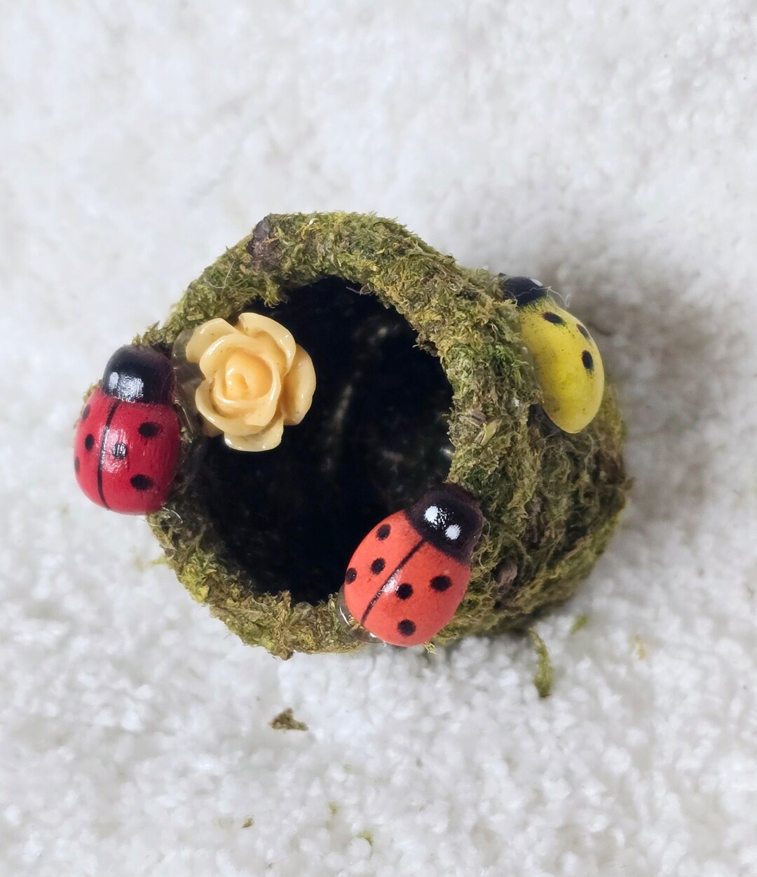 Hobbit-hide Jr. for Jumping Spiders 1x1x1. Great Gift for Any Spood ...