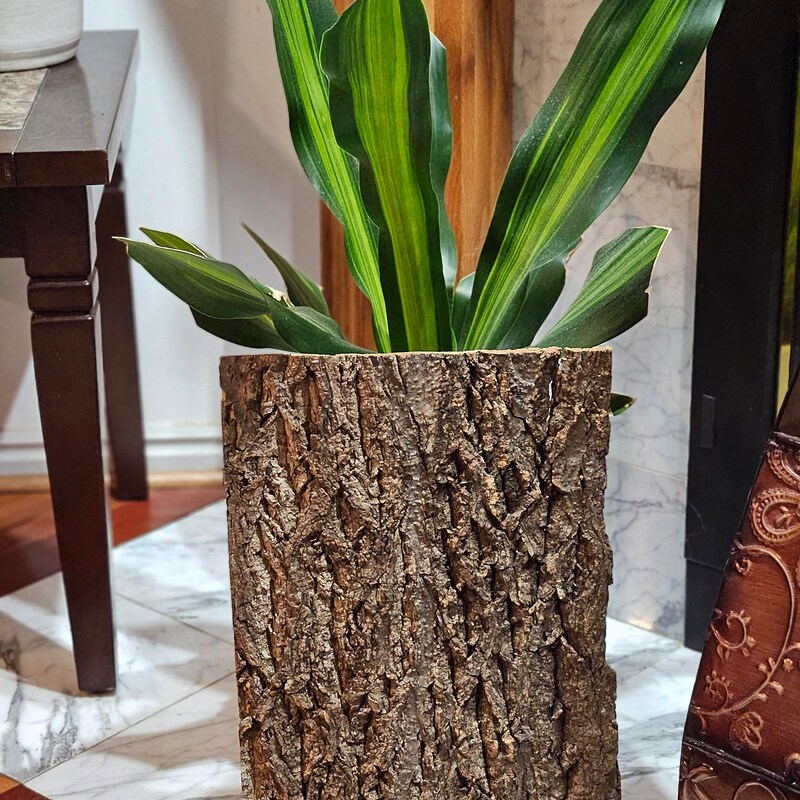 Bark - Etsy