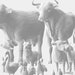 Farm Animals STL 3D Models: Educational Ranch Play Set - Etsy