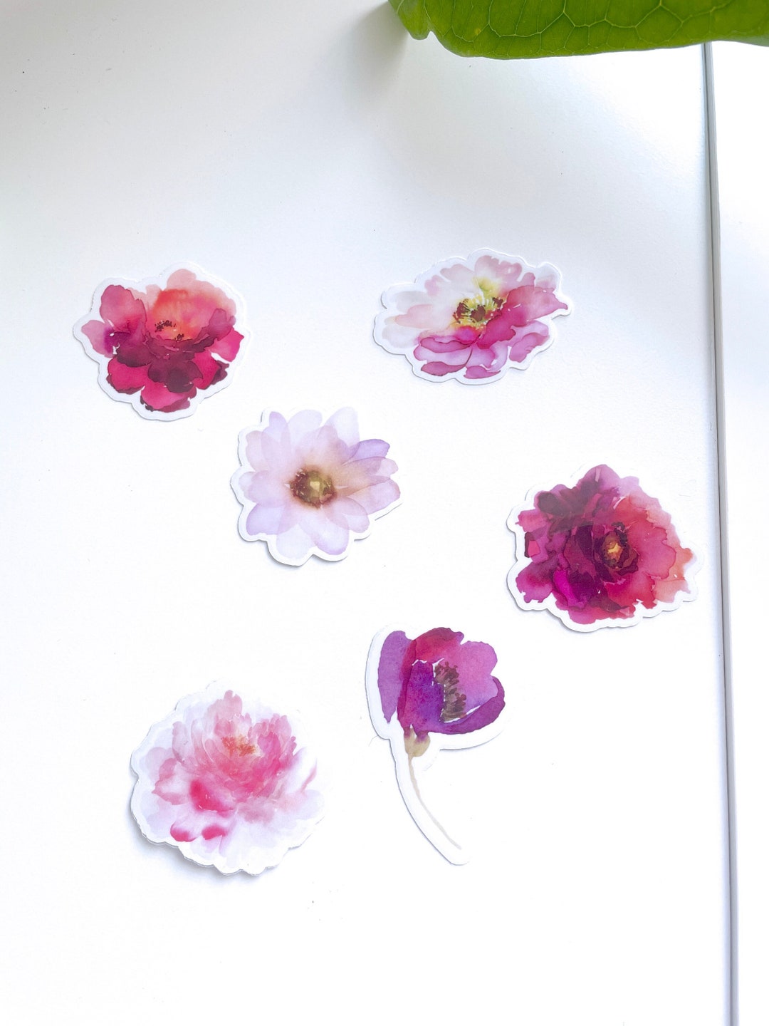 Clear Floral Stickers, Clear Vinyl, Flower Stickers, Watercolour ...